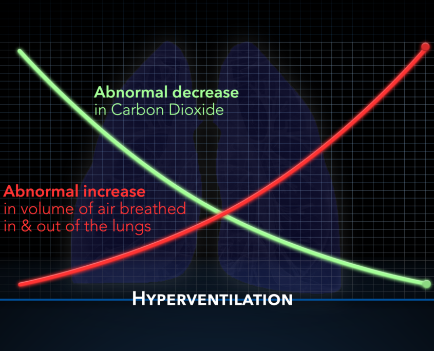 Quiz : Flight Training Central